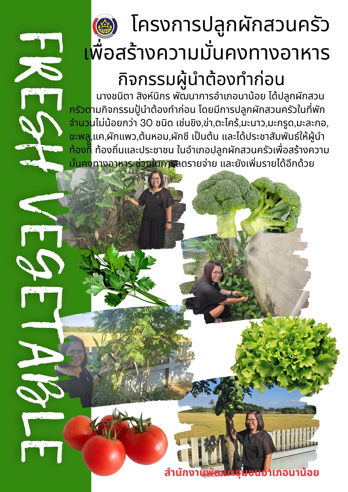 โครงการปลูกผักสวนครัว เพื่อสร้างความมั่นคงทางอาหาร